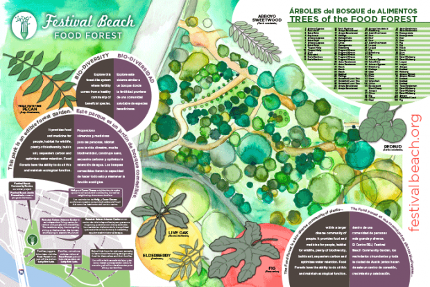 Festival Beach Food Forest – Leah Lovise